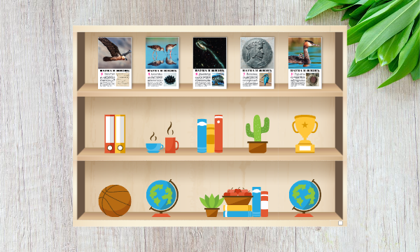 Flipbook Author - Evpershina